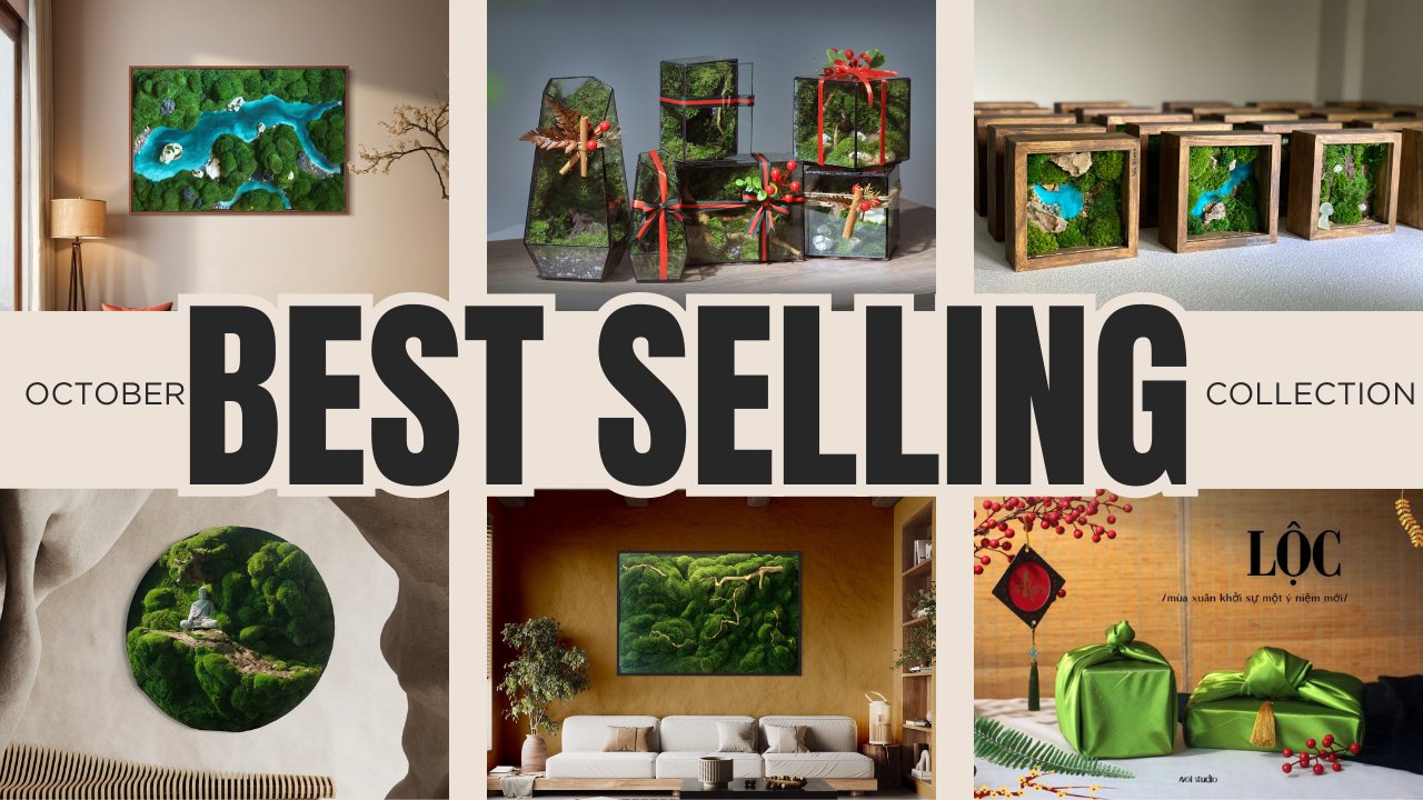 Best selling Collection – Noi Studio