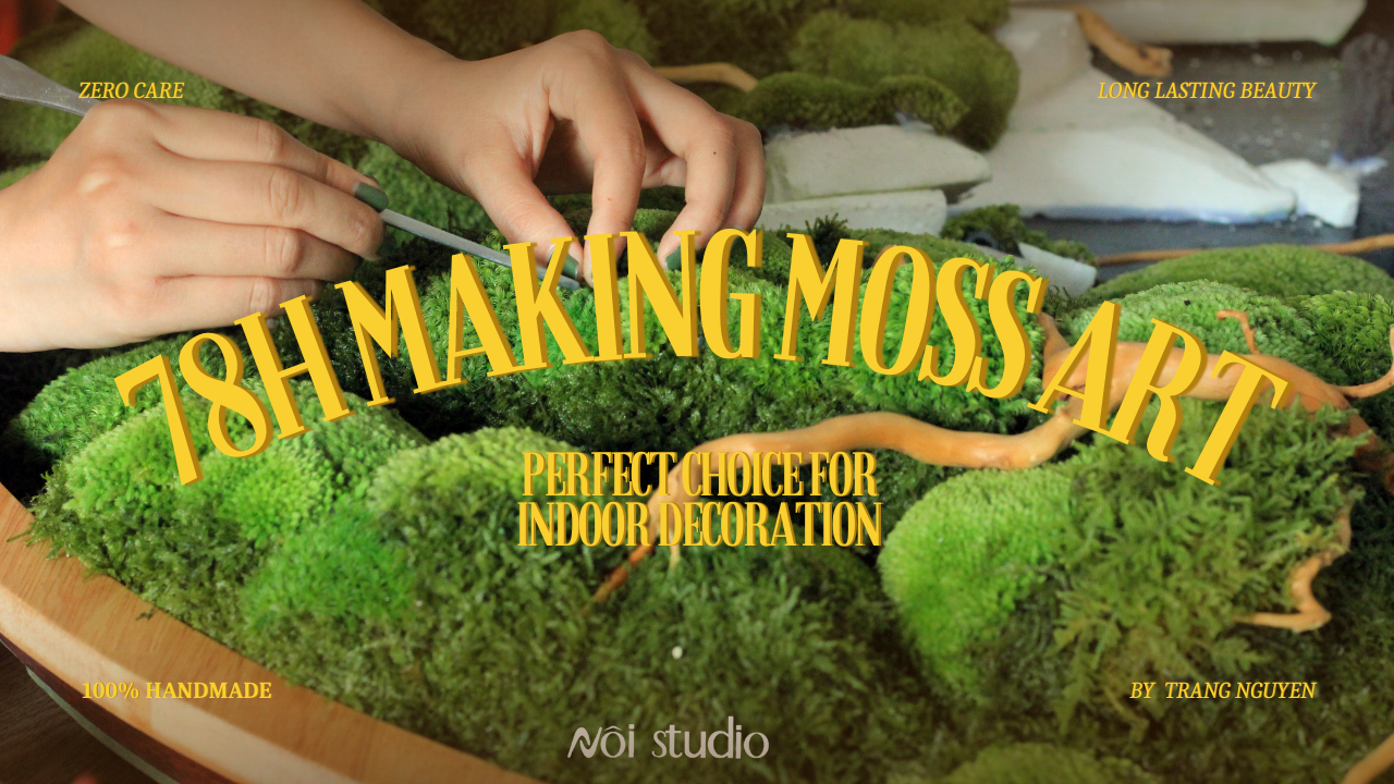 Nôi Studio - Preserved moss art - – Noi Studio